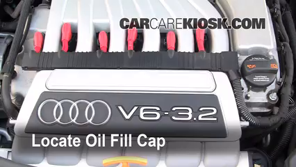 Oil & Filter Change Audi A3 (2006-2013) - 2008 Audi A3 Quattro 3.2L V6