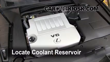 How to Add Coolant: Lexus ES350 (2007-2012) - 2008 Lexus ES350 3.5L V6
