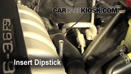 Oil & Filter Change Audi Q7 (2007-2015) - 2009 Audi Q7 Premium 3.6L V6