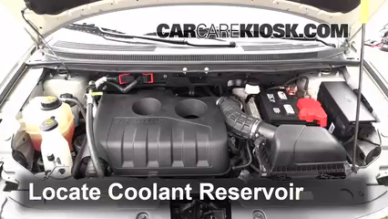 How to Add Coolant: Ford Edge (2011-2014) - 2013 Ford Edge SE 2.0L 4 ...